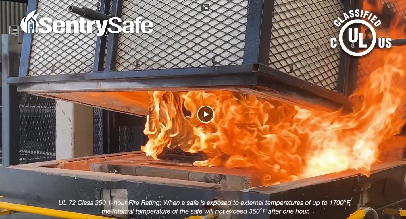 Sentry Safe FPW082HTC Fire-Resistant, Water-Resistant with Digital ...