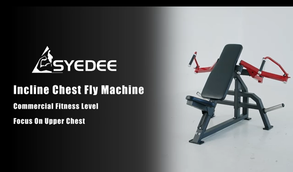 Syedee Incline & Reverse Chest Fly Machine, Home Gym, 400lb Capacity ...