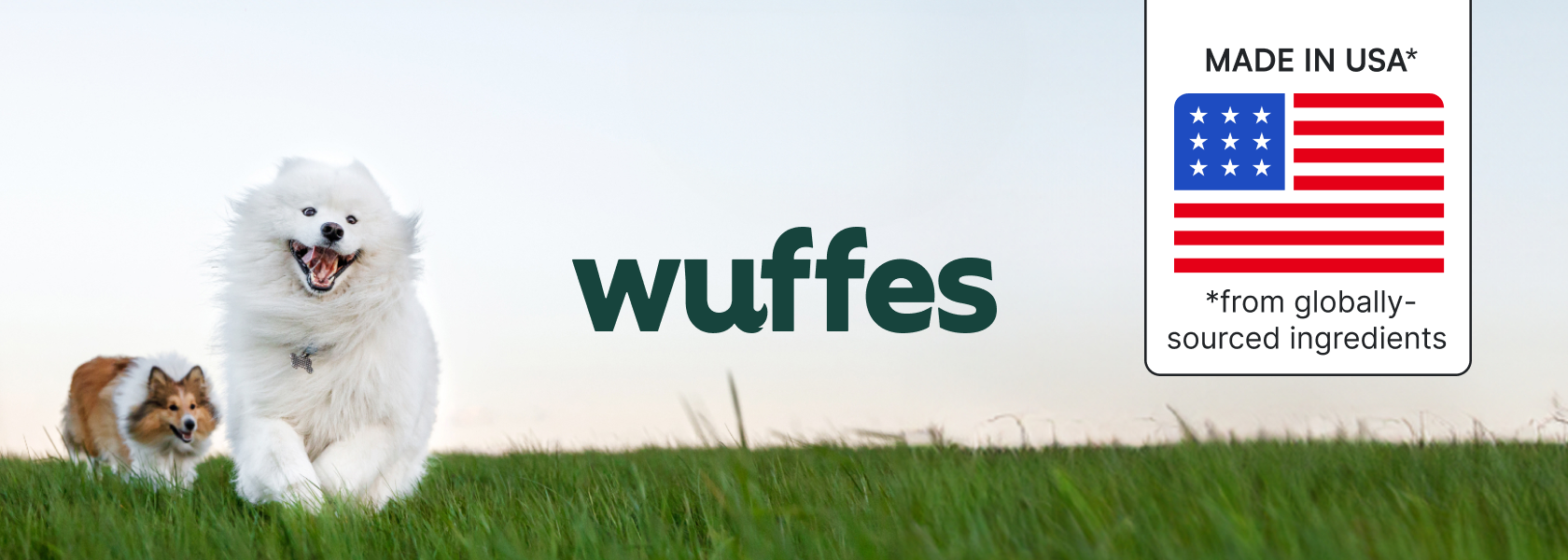Wuffes Advanced Hip and Joint Chew Supplement, Glucosamine and ...