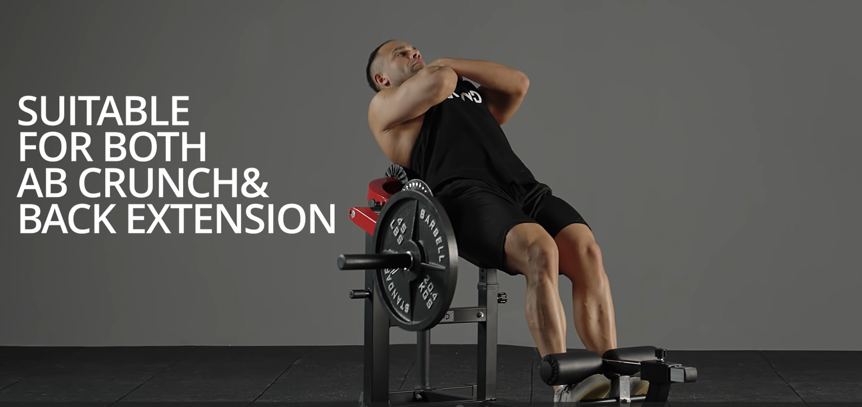 syedee Seated AB Curl, Back Extension Machine, Plate Loaded, 450lbs ...