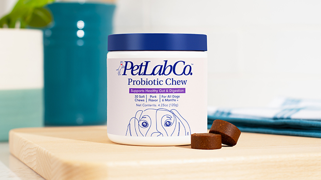 Free Shipping! Petlab Probiotic Chews for Dogs, Gut Health, Immune ...